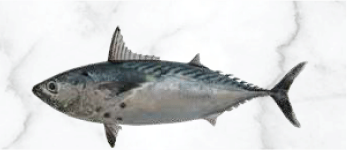 Beejay Seafoods - Beejay Seafoods